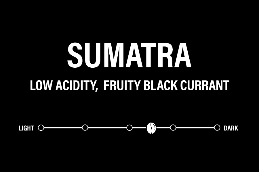 All Coffee – Page 2 – Cape Cod Coffee - Freshly Roasted on Cape Cod!